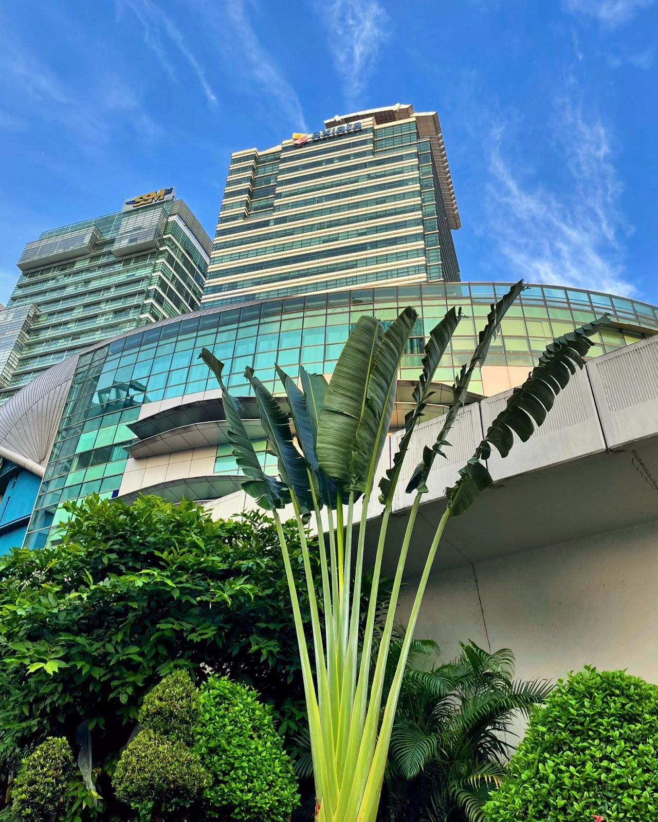 Asia Forum 2024 - in person - International Institute of Communications